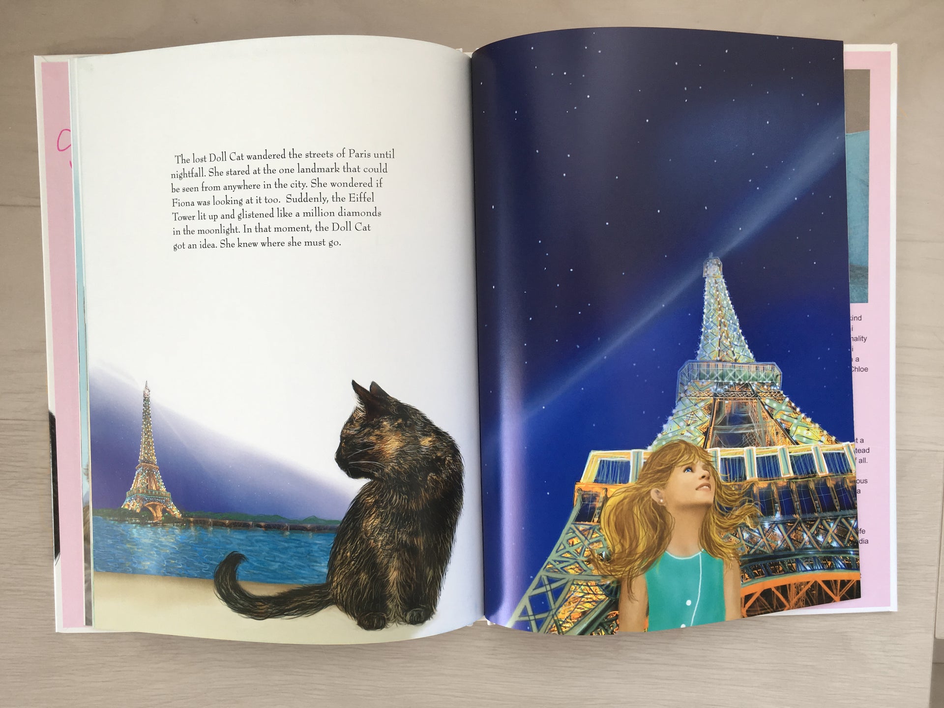 Tortoiseshell Cat Gifts | Children's Book About Cats | Paris Cat Book ...